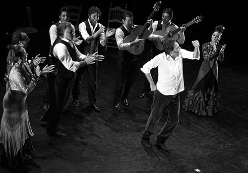 La pureza de 'El Pipa' clausura la Bienal de Málaga | cordobaflamenca.com